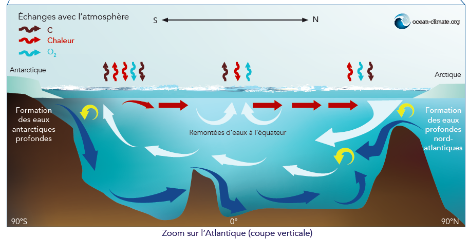 La circulation océanique - Plateforme Océan & Climat