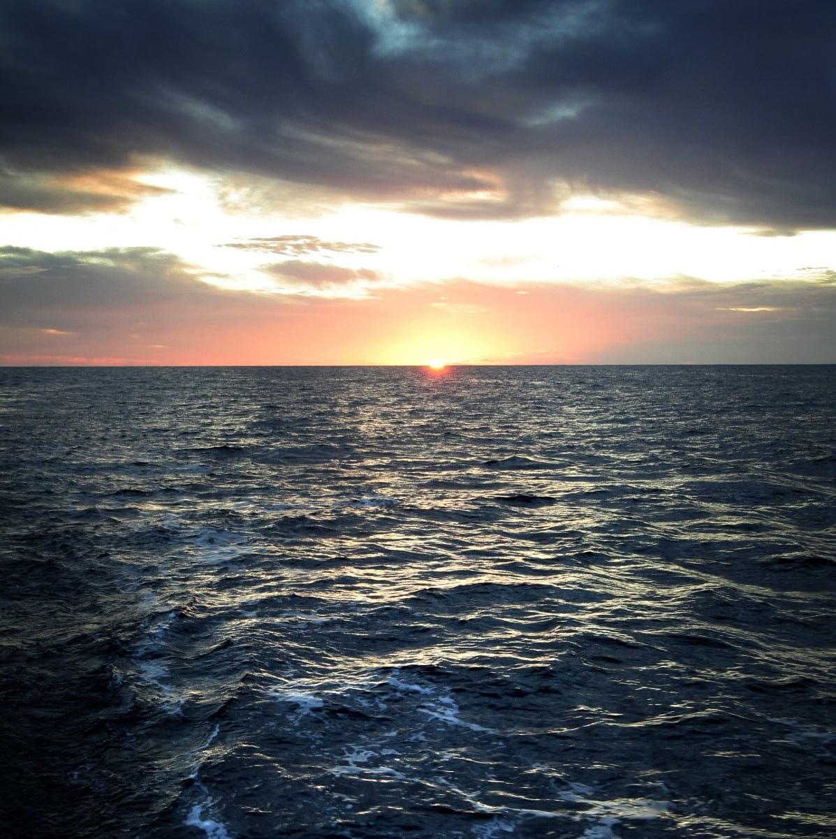 Pavillon Tara, Ocean and Climate in Paris - Ocean & Climate Platform