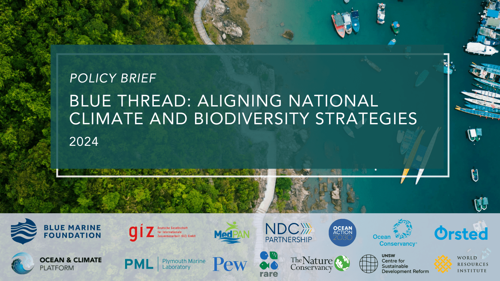 Publication – Launch of the Policy Brief “Blue Thread: Aligning ...